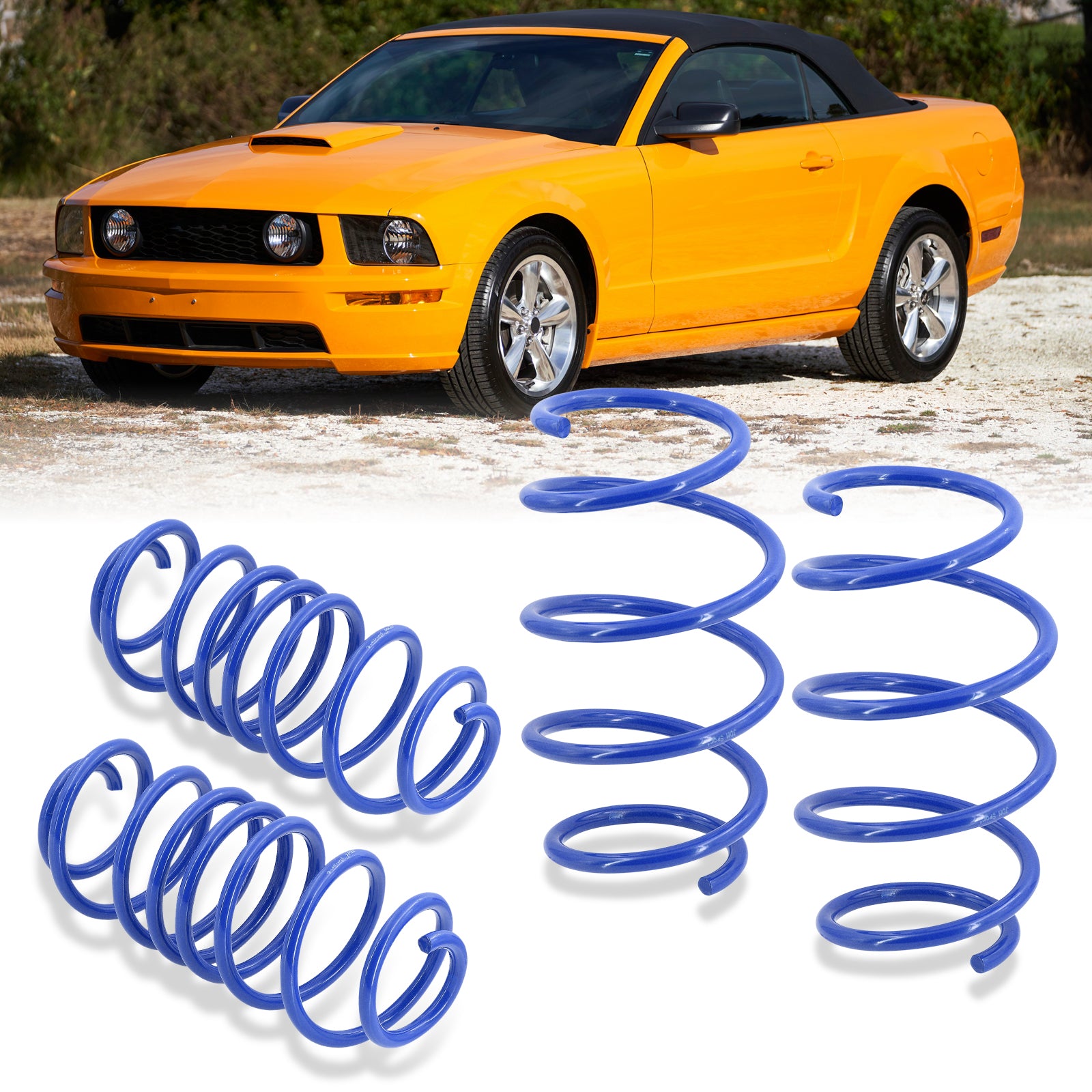 Ford Mustang 2005-2014 Lowering Springs Blue (V6 Drop Front ~1.1" / Re ...